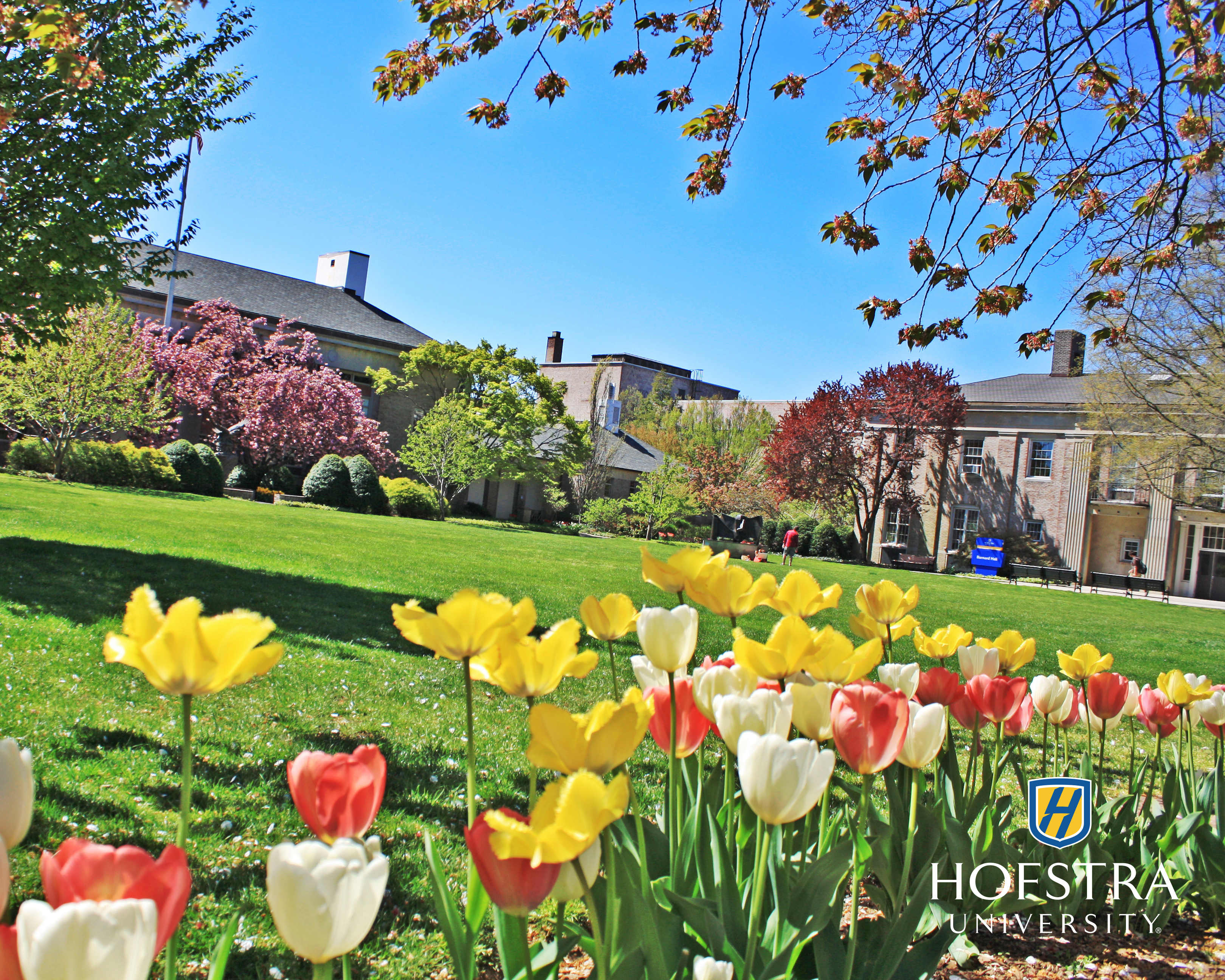 Pride Downloads | Hofstra | New York