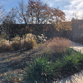 Museum Outdoors: Mack Garden | Hofstra | New York