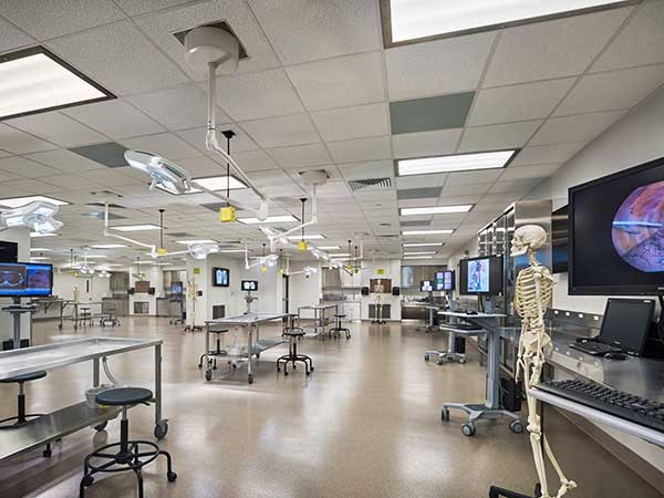 Nursing & Physician Assistant - Clinical Resources | Hofstra University