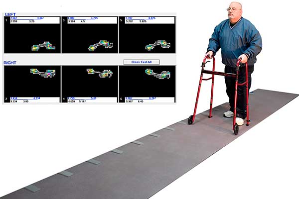 Physical Therapy, DPT | MARS Lab Equipment | Hofstra University